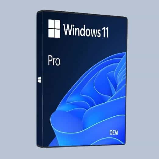 Windows 11 Pro Cd Key OEM Microsoft Global - kaicollection.info